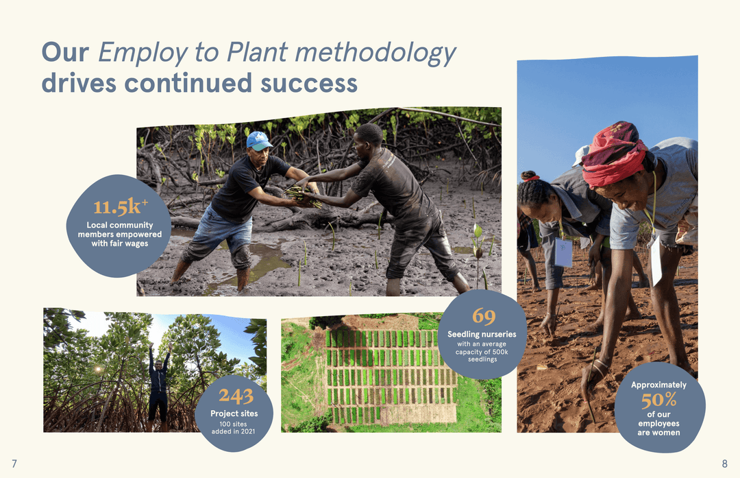 Planting Tree's – Salty Dagger