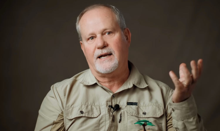 Planting Trees – Salty Dagger