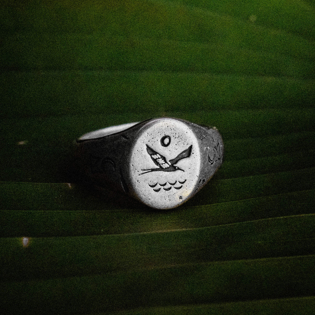 The Boxer – Salty Dagger